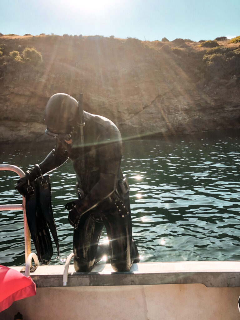 Mothersun and the Captain Q&A Will Empower YOU! : Megan Waldrep